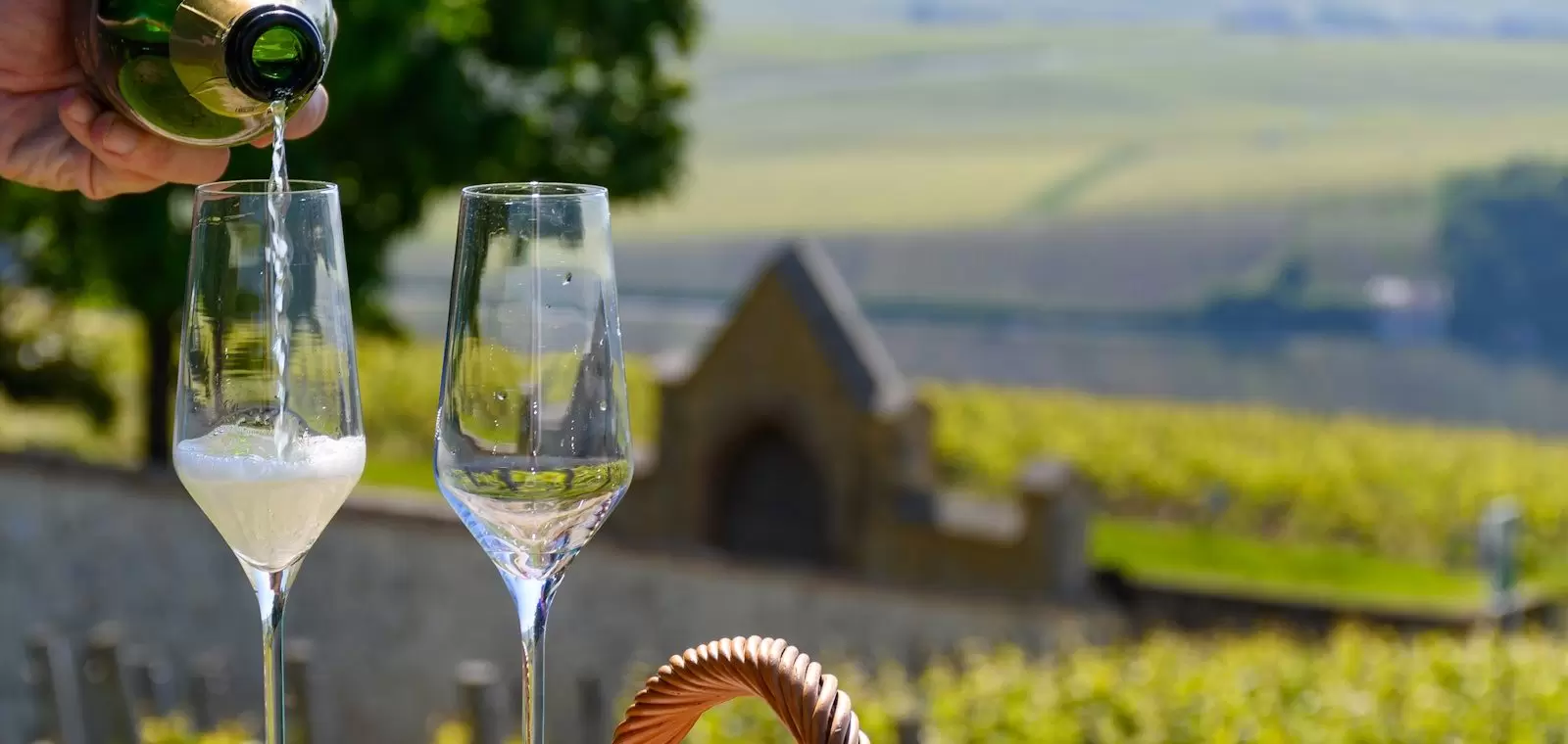 Try the famous Champagne and discover the beautiful region - TourTailors