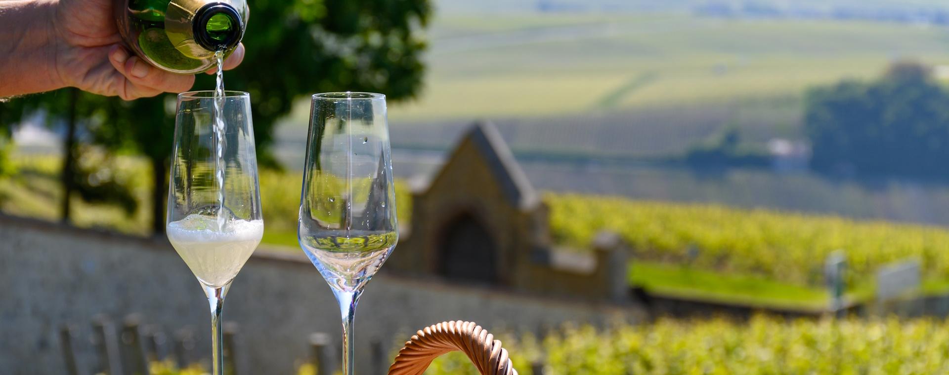 Try the famous Champagne and discover the beautiful region - TourTailors